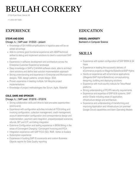 SAP Lead Resume Samples Velvet Jobs