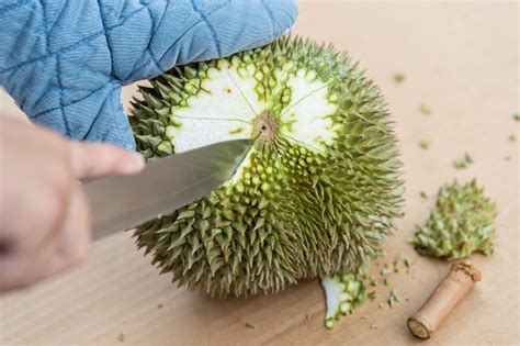 손 가시 많이 있는 두리안 껍질을 껍질을 칼을 사용 하 여 Ntropical 제철 과일 태국에서 과일의 왕 두리안 껍질 장갑