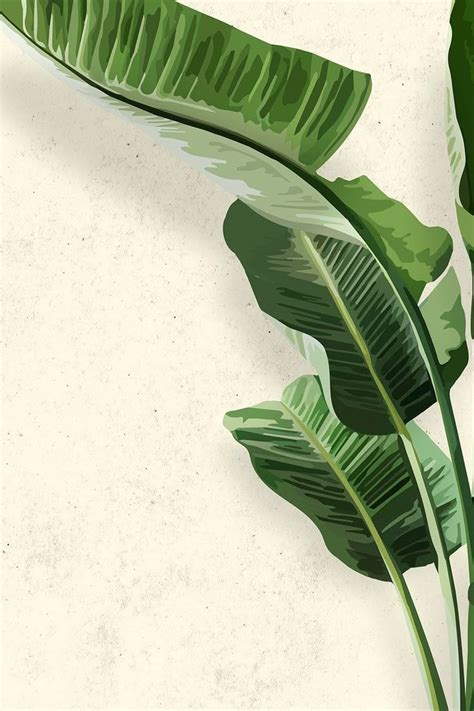 Download Premium Vector Of Banana Tree Background Wallpaper Vector