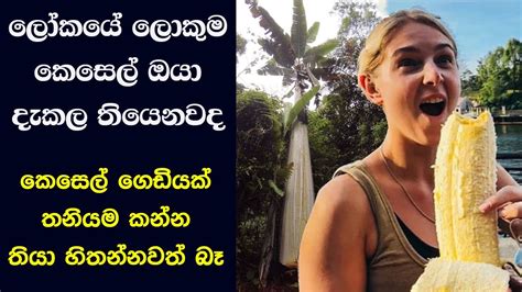 ලෝකයේ ලොකුම කෙසෙල් ඔයා දැකල තියෙනවද කෙසෙල් ගෙඩියක් තනියම කන්න තියා