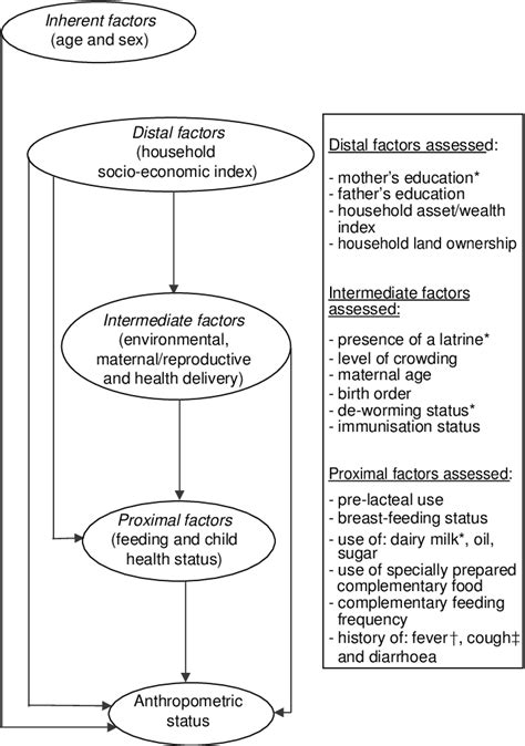 Conceptual Hierarchical Framework Of Potential Determinants For Poor Download Scientific