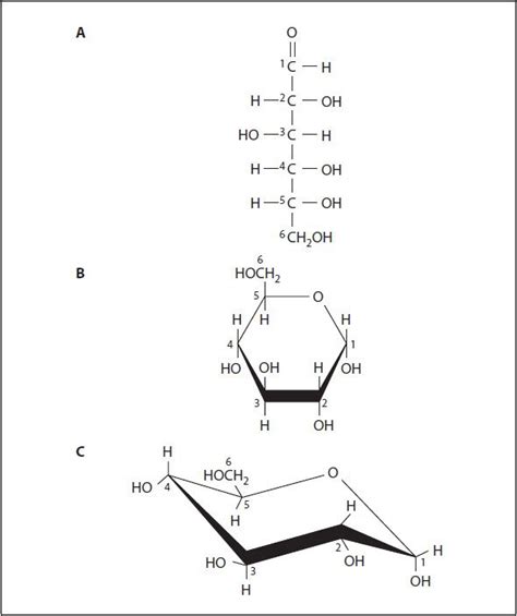 2 Biological Building Blocks Carbohydrates Basicmedical Key