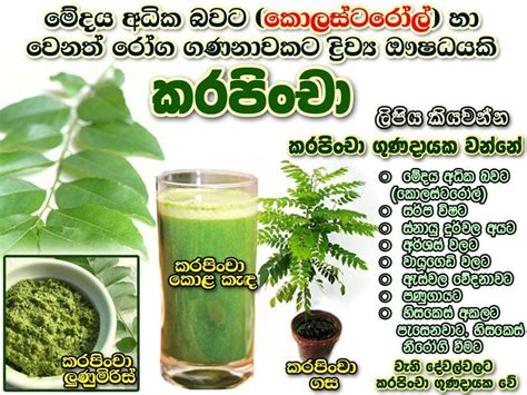 Kalugala Aranya Senasanaya Facebook