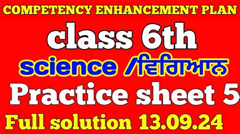 Class 6 Science Worksheet 5 Solution 30 08 2024 English And Punjabi