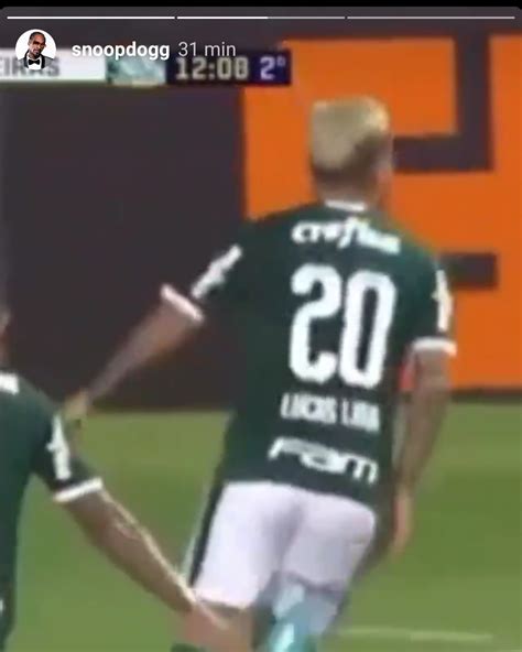 R Palmeiras