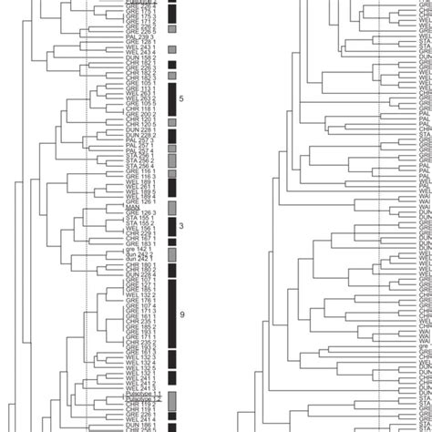 Unweighted Pair Group Method With Arithmetic Mean Tree Based On Sali