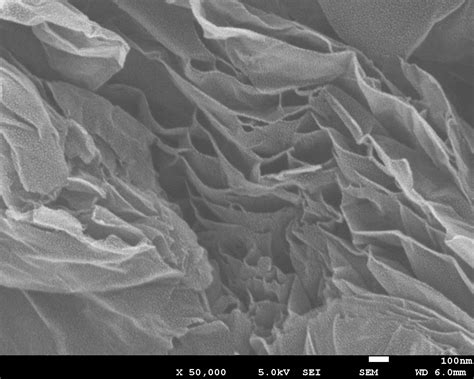 High Quality Single Layer Graphene Oxide Powder Single Layer Graphene