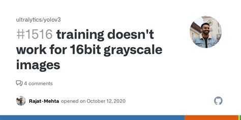 Training Doesnt Work For 16bit Grayscale Images · Issue 1516
