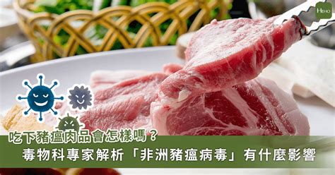 國內首件非洲豬瘟走私肉品！吃下去會怎麼樣嗎？ 會傳染人類嗎？ Heho健康