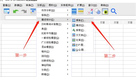 Ibm Spss Statistics频数分析教学 Ibm Spss Statistics 中文网站