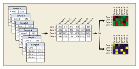 Microarray Analysis And Tumor Classification New England Journal Of Medicine