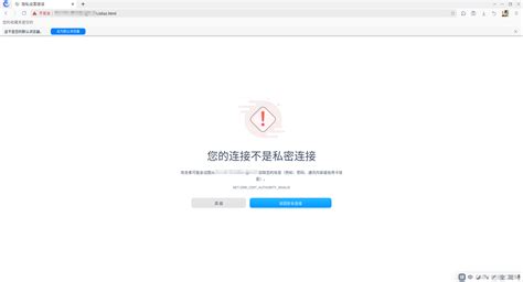 根证书导入浏览器任然显示证书验证失败原因 chrome导入自签名证书还是报不安全 csdn博客