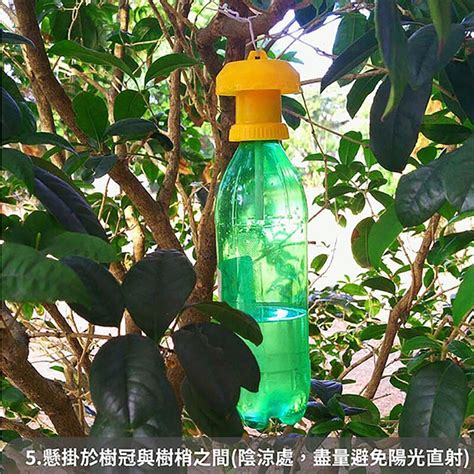【全館490免運】瓜實蠅果實蠅誘捕器瓶蓋（寶特瓶專用）捕蜂燈 誘捕器瓶蓋 誘捕器 果蠅餌劑 寶特瓶 酵母球 誘引劑 露天市集 全台最大
