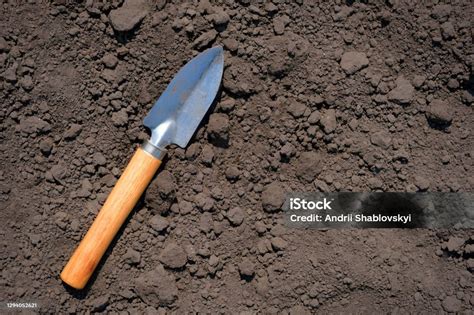 봄 정원에서 지구의 배경에 정원 삽 식물을 심기위한 도구 농업 개념 갈퀴에 대한 스톡 사진 및 기타 이미지 갈퀴 개념 계절 Istock