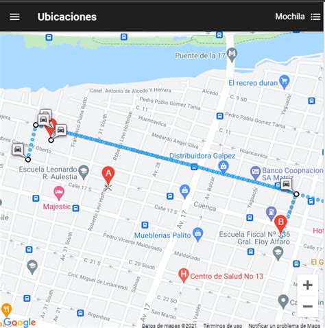 How Can I Modify The Polylinesoptions Of Angular Components Map
