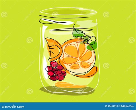 Infused Water Fruit In A Jar Stock Illustration Illustration Of Mint