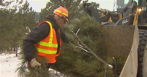 Hurricane Force Winds Toppled Trees And Power Lines Near Estes Park