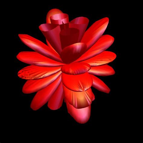 A Three Dimensional Diagram Of A Dongfang Spherical Harmonic Function