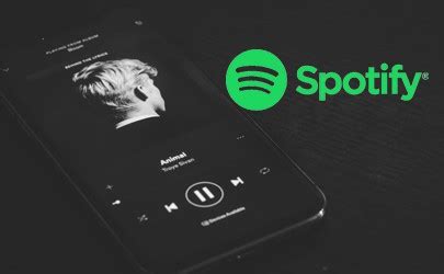 The Best Ways To Use Spotify On Your Raspberry Pi Raspberrytips