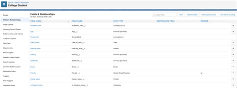 Salesforce Objects 101 A Comprehensive Handbook Arrify