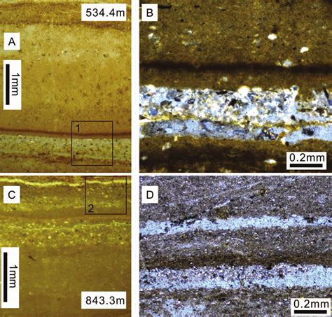 Photomicrographs For Representative Thin Sections Of The Lithofacies