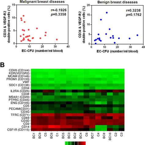 A Microarray Analysis Of De Regulated Genes Among Endothelial Cell Download Scientific Diagram