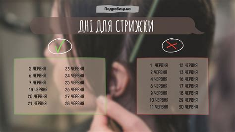 Місячний календар стрижок на червень 2023 Podrobnosti Ua