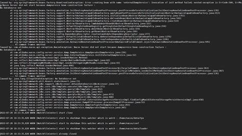 Caused By Java Lang IllegalStateException No DataSource Set Issue