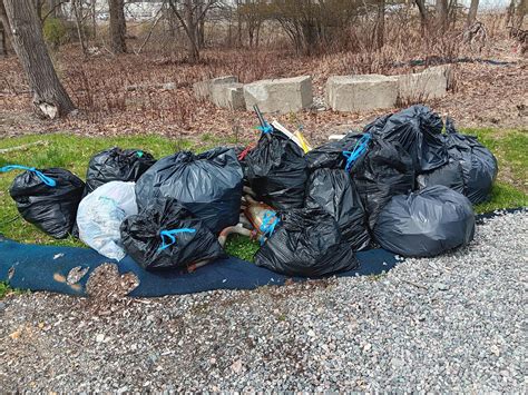 Community Clean Up Events Continue This Weekend In Dedhamma
