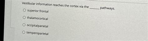 Solved Vestibular Information Reaches The Cortex Via