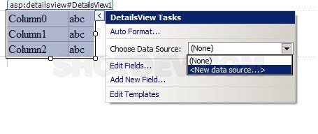 ASP NET Vb Net AccessDataSource And DetailsView ShotDev