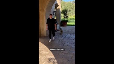 Arnie Walks His Pet Pig For Exercise News Au Australias