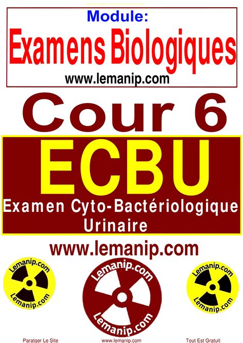 ECBU Examen Cyto Bactériologique Urinaires