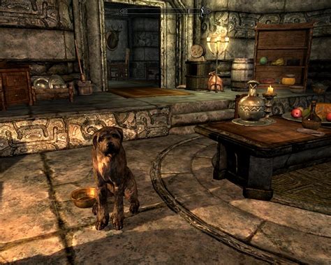 Болезни в игре Форум The Elder Scrolls 5 Skyrim