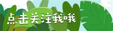Figdraw 27 Sci文章中绘制误差线 Errorbar Csdn博客