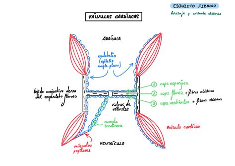 Solution B Mefich M Dulo Dibujos Studypool