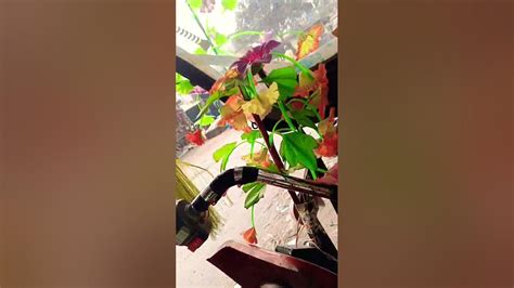 Video X Video 💓 ️🌹👇👍💐💐👋💝 ️‍🔥 Youtube