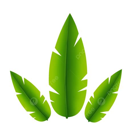 Coconut With Leaves Png Clipart Image Gallery Yoprice