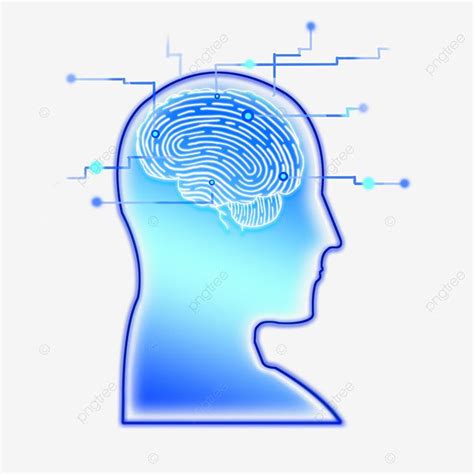인체 뇌 일러스트 신경 조직 일러스트신경 설명도 뇌 클립 아트 신경 계통 신경 Png 일러스트 및 Psd 이미지 무료 다운로드 Pngtree Sketches