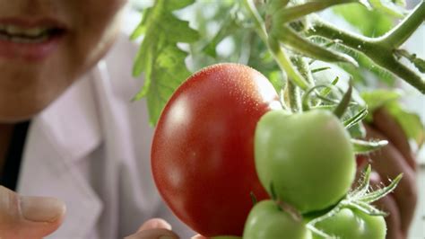 Farming Frontiers Chinas Science Revolution Season 1 Episode 1