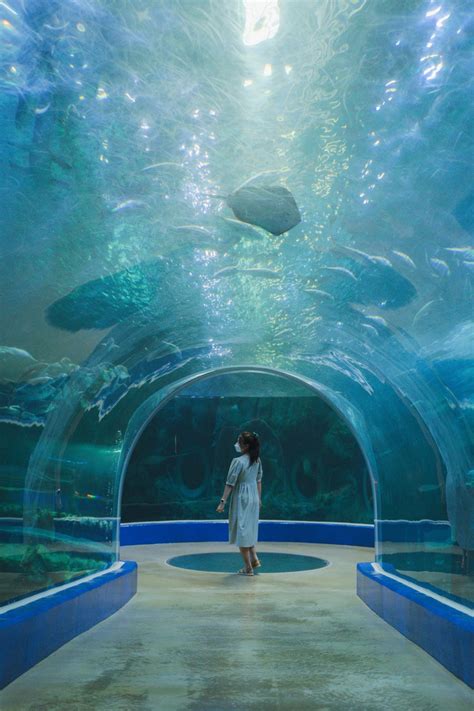 6월 국내 여행지 추천 미리 준비하는 여름휴가 여수 여행코스