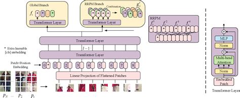 Figure 2 From Tsn Greid Transformer Based Siamese Network For Group Re Identification