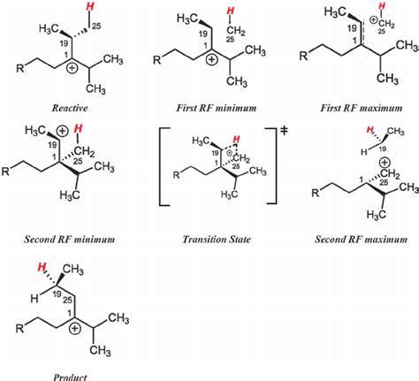 Most Relevant Molecular Structures Appearing Along The Reaction
