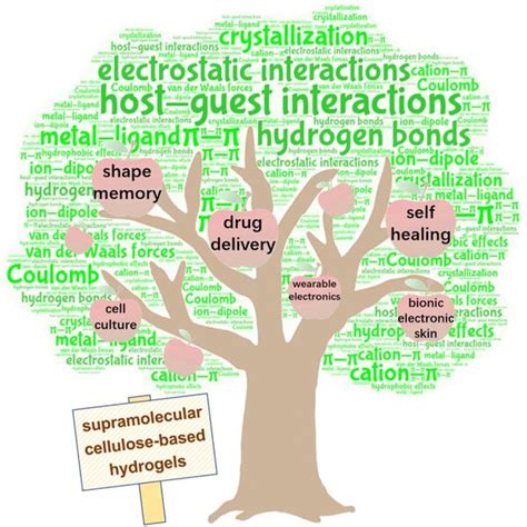 Illustration Of Cellulose‐based Hydrogels Regulated By Supramolecular