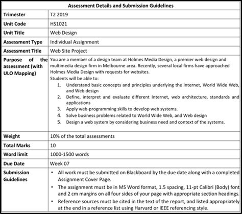 Tips For Writing Hs1021 Web Design And Website Project Assessment Answer