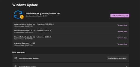 Windows Update Errors Windows 11 Forum