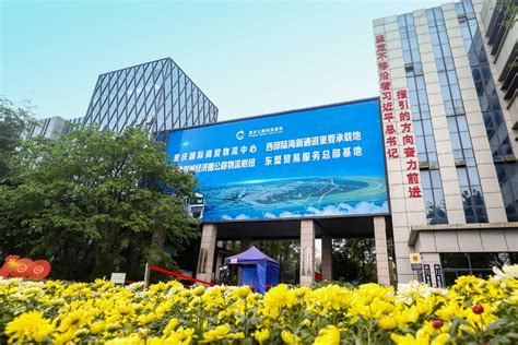 视频丨今年前10月重庆外贸进出口超6400亿元 同比增长25凤凰网视频凤凰网