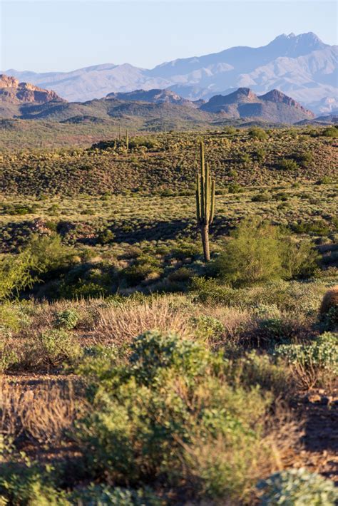 Hike Praying Hands Lost Dutchman State Park