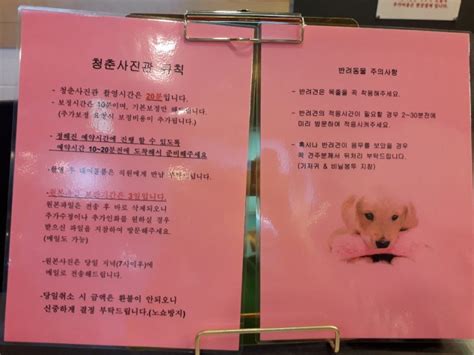 안양역 안양일번가 안양 셀프사진관 청춘사진관 후기 네이버 블로그