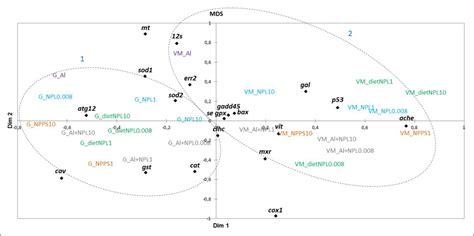 Multidimensional Scaling Mds Analysis Made From All The